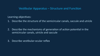 Physiology of Vestibular system.pptx bbnn | PPTX