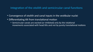 Physiology of Vestibular system.pptx bbnn | PPT