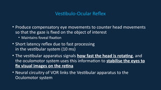 Physiology of Vestibular system.pptx bbnn | PPTX