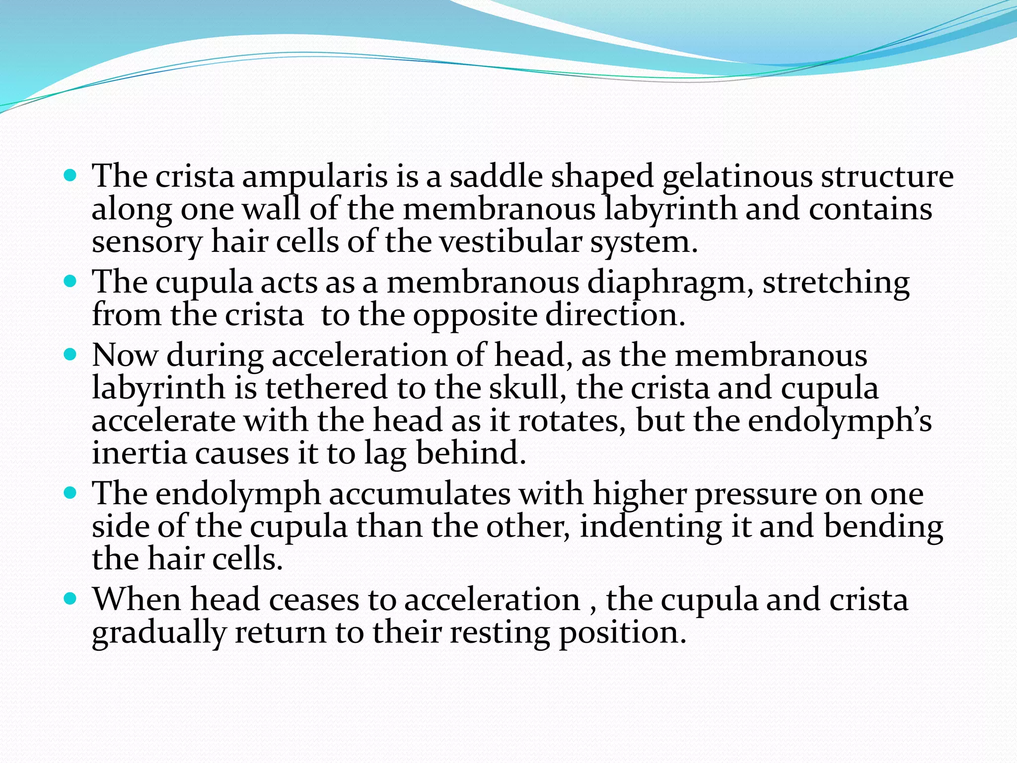 Anatomy & Physiology Of Vestibular System | PPTX
