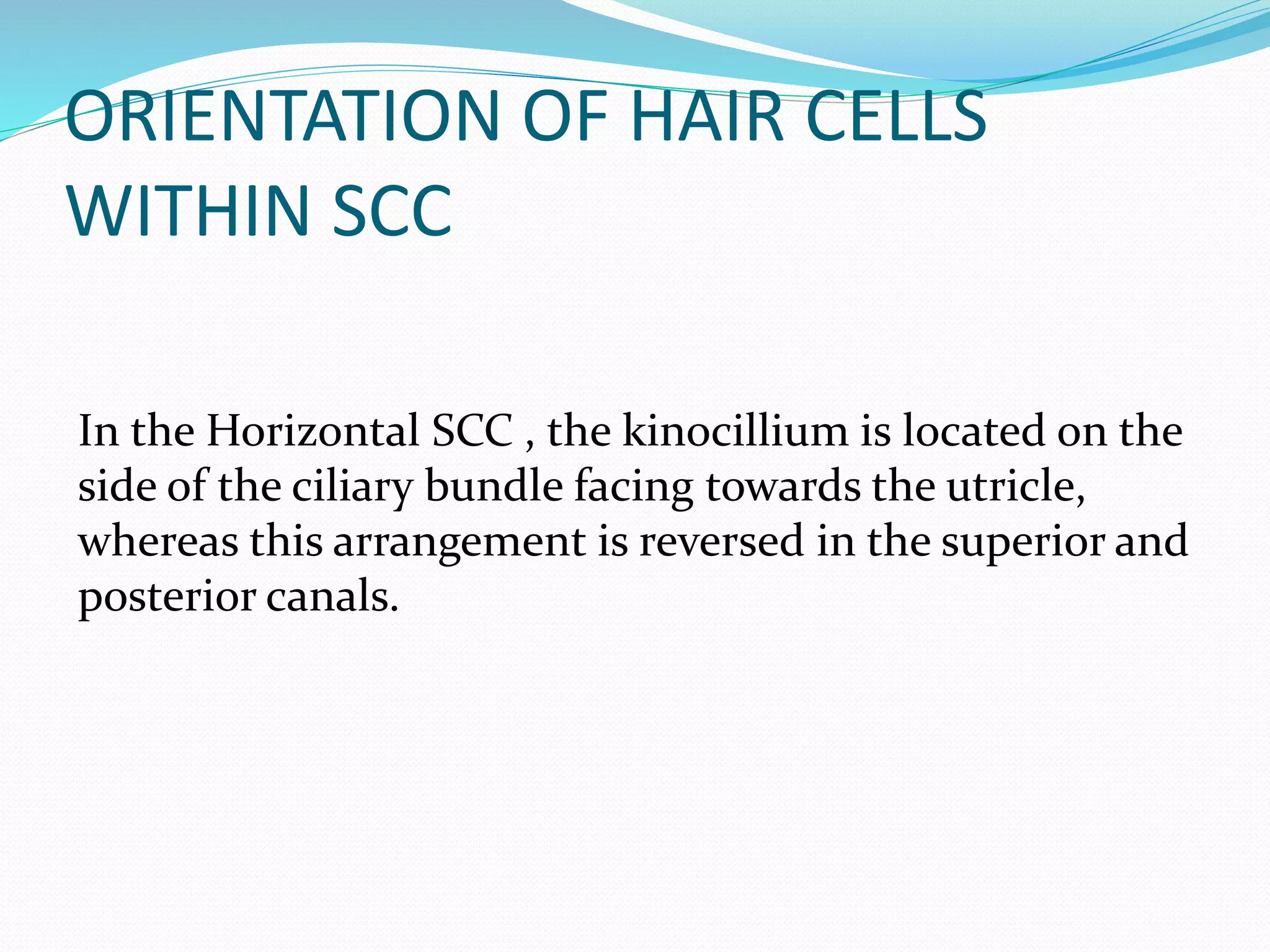 Anatomy & Physiology Of Vestibular System | PPTX