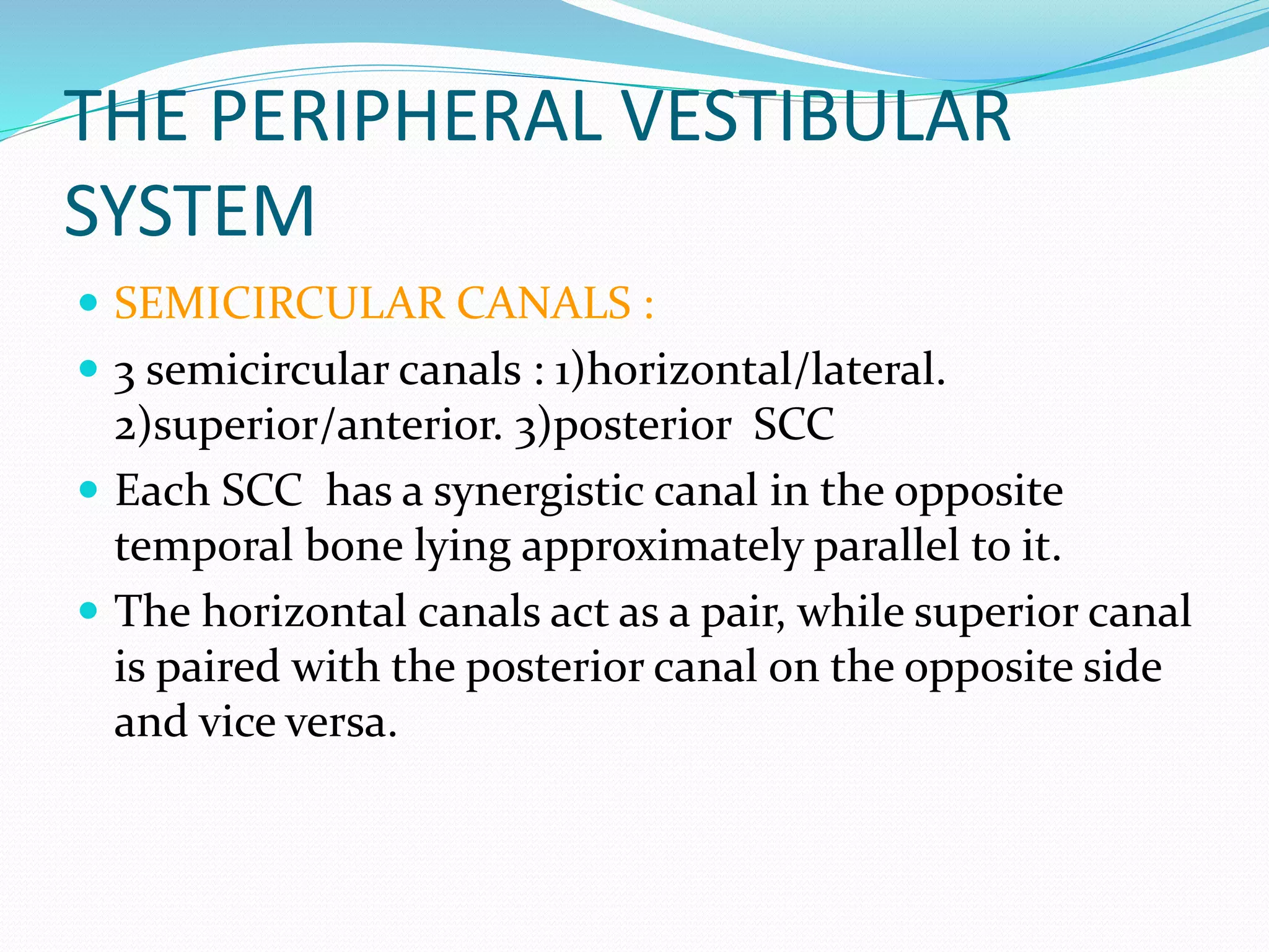Anatomy & Physiology Of Vestibular System | PPTX