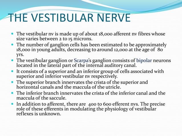 Anatomy & Physiology Of Vestibular System | PPTX