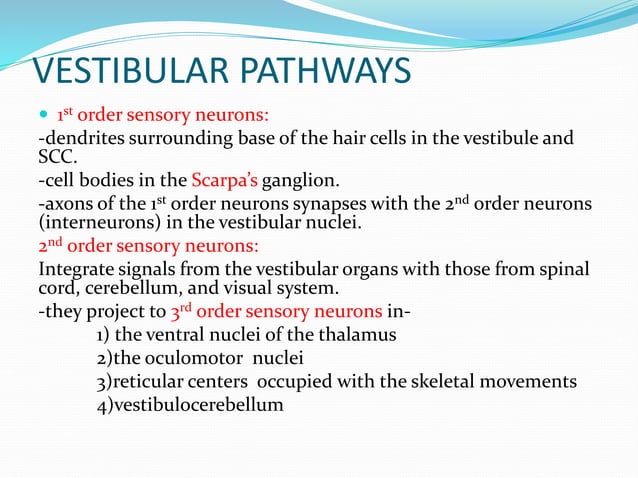 Anatomy & Physiology Of Vestibular System | PPTX