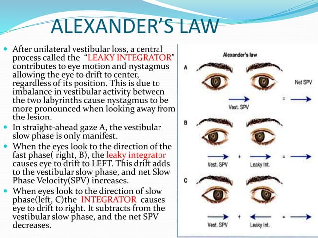 Anatomy & Physiology Of Vestibular System | PPTX