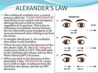 Anatomy & Physiology Of Vestibular System | PPT
