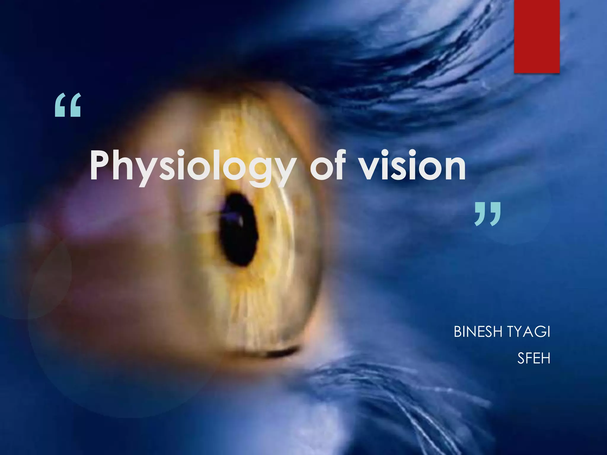 Physiology of vision | PPTX