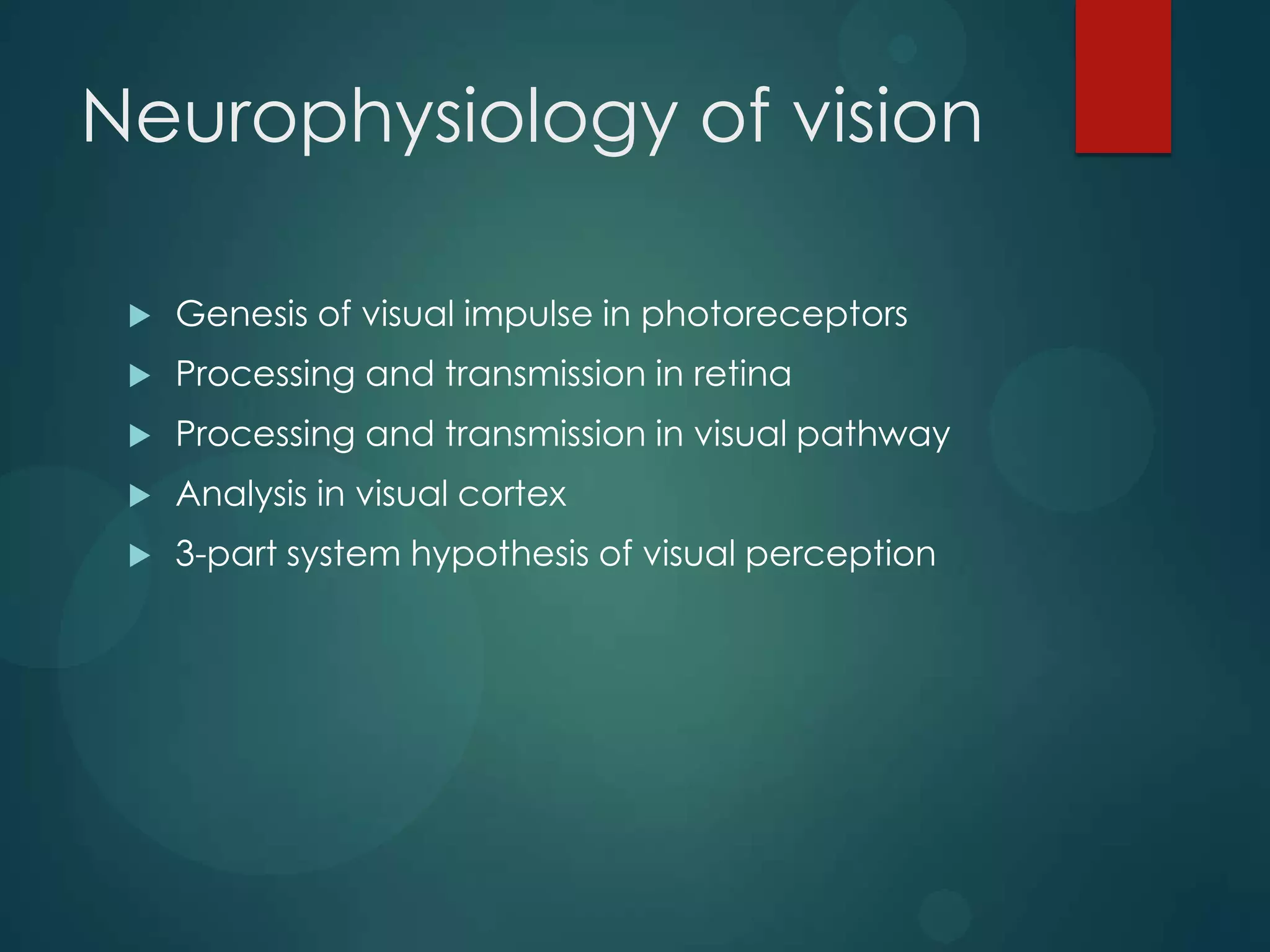 Physiology of vision | PPTX