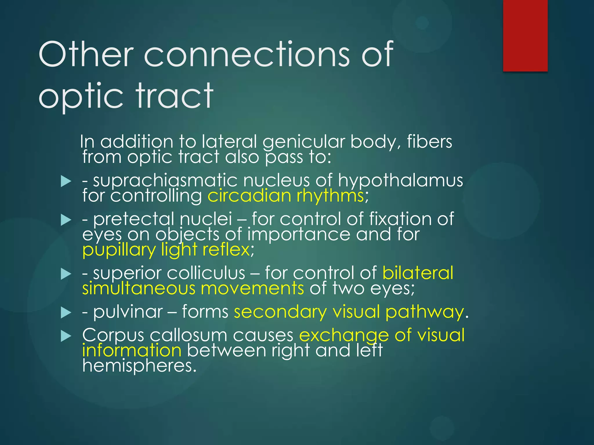 Physiology of vision | PPTX