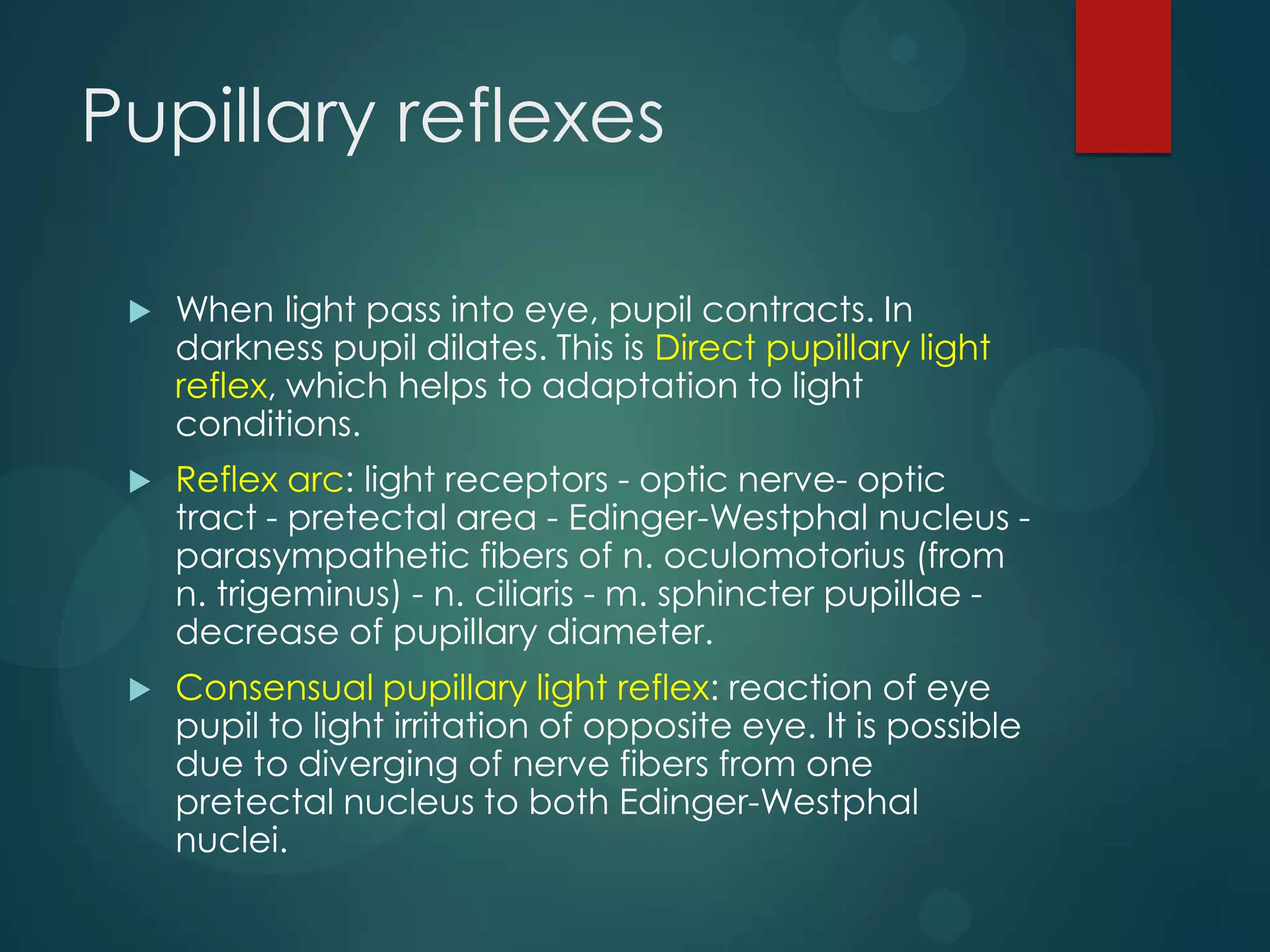 Physiology of vision | PPTX