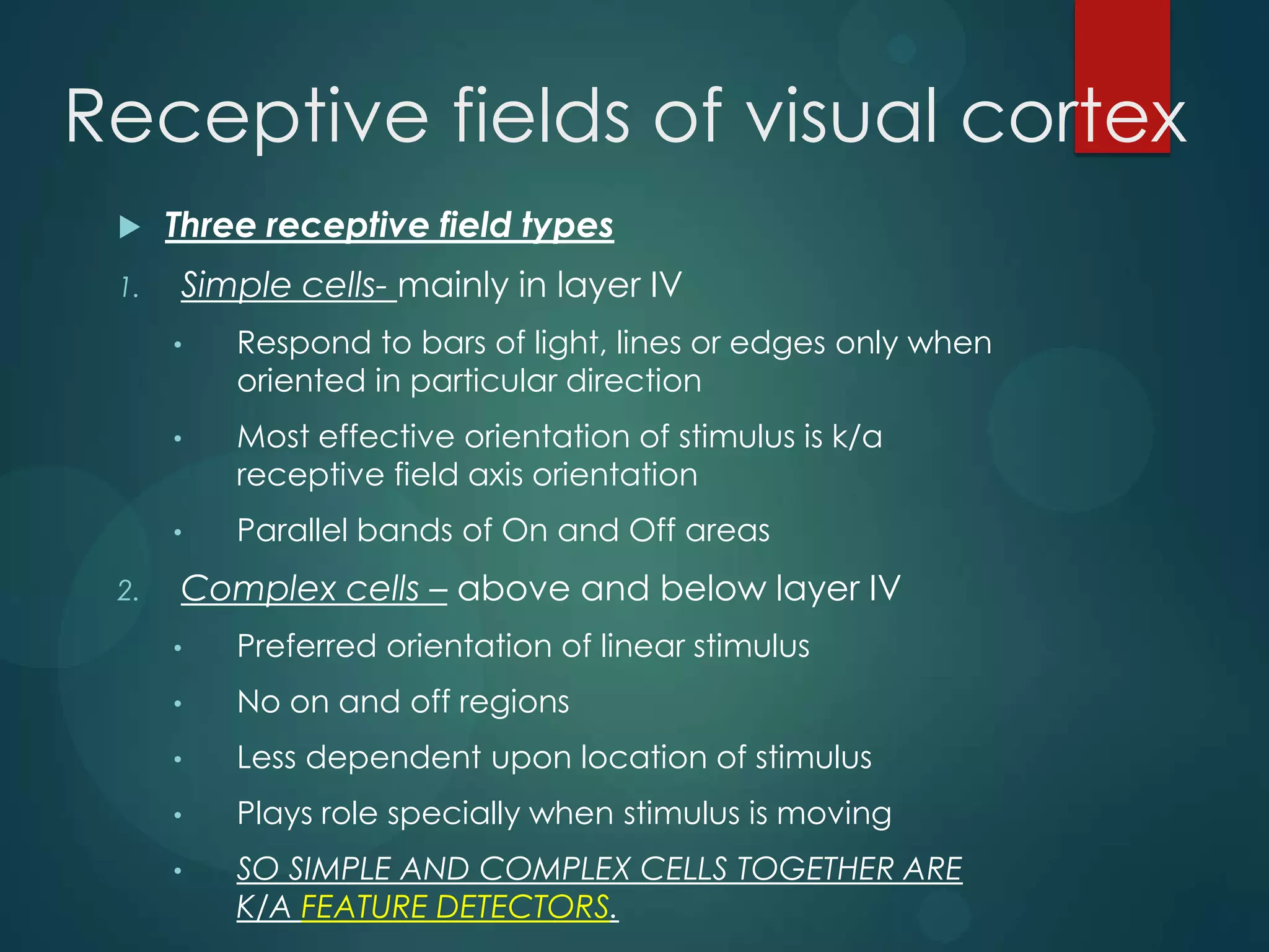 Physiology of vision | PPTX