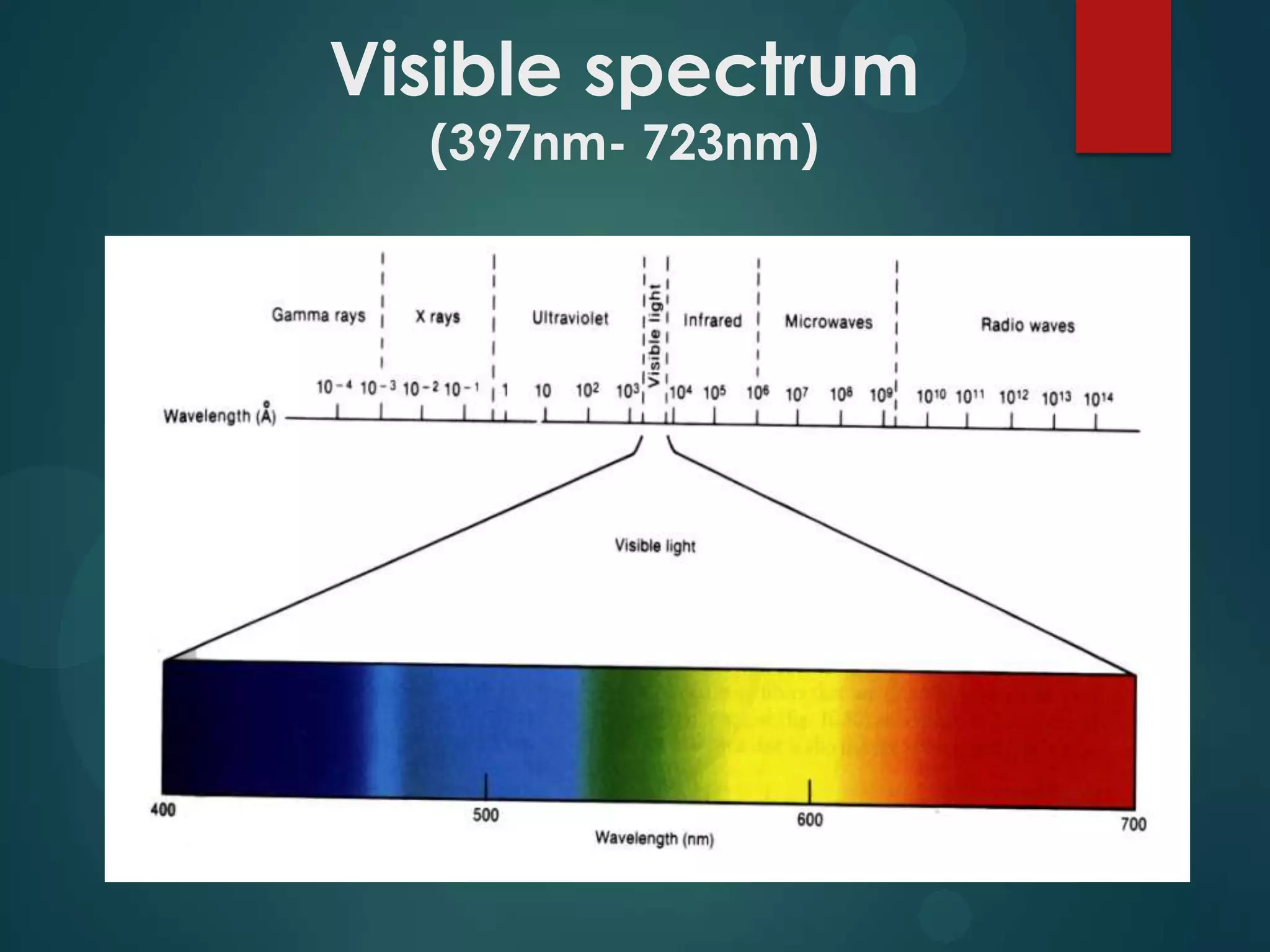 Physiology of vision | PPTX