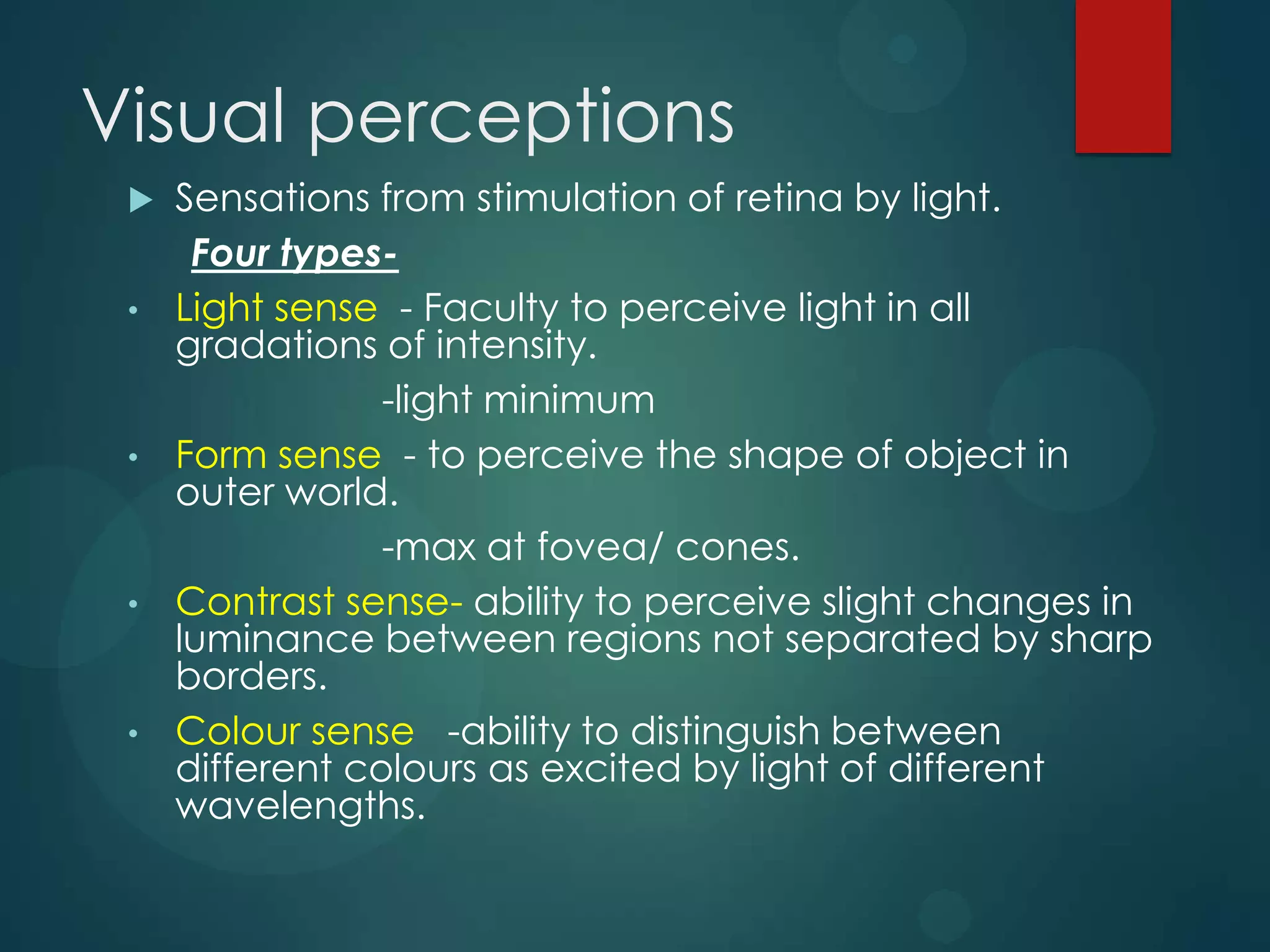Physiology of vision | PPTX