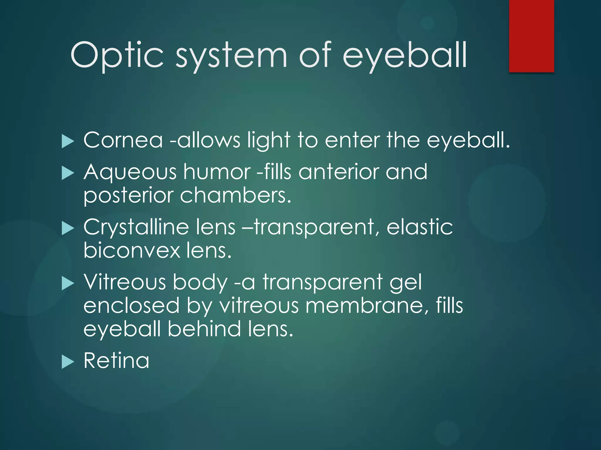 Physiology of vision | PPTX