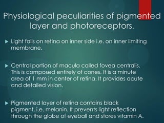 Physiology of vision | PPTX