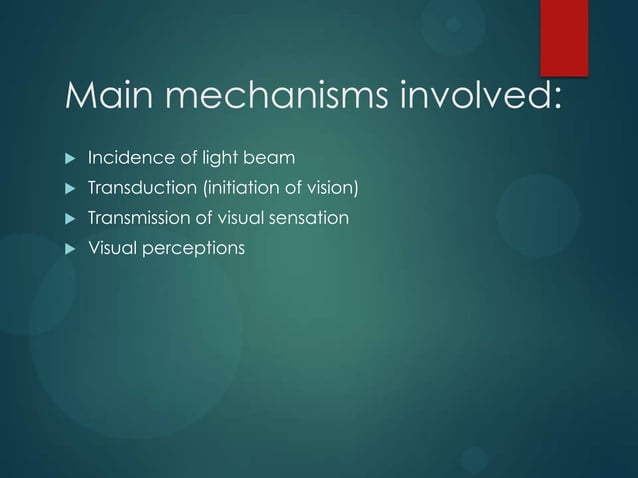 Physiology of vision | PPTX | Eye and Vision Conditions | Diseases and ...
