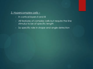 Physiology of vision | PPTX