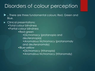 Physiology of vision | PPTX