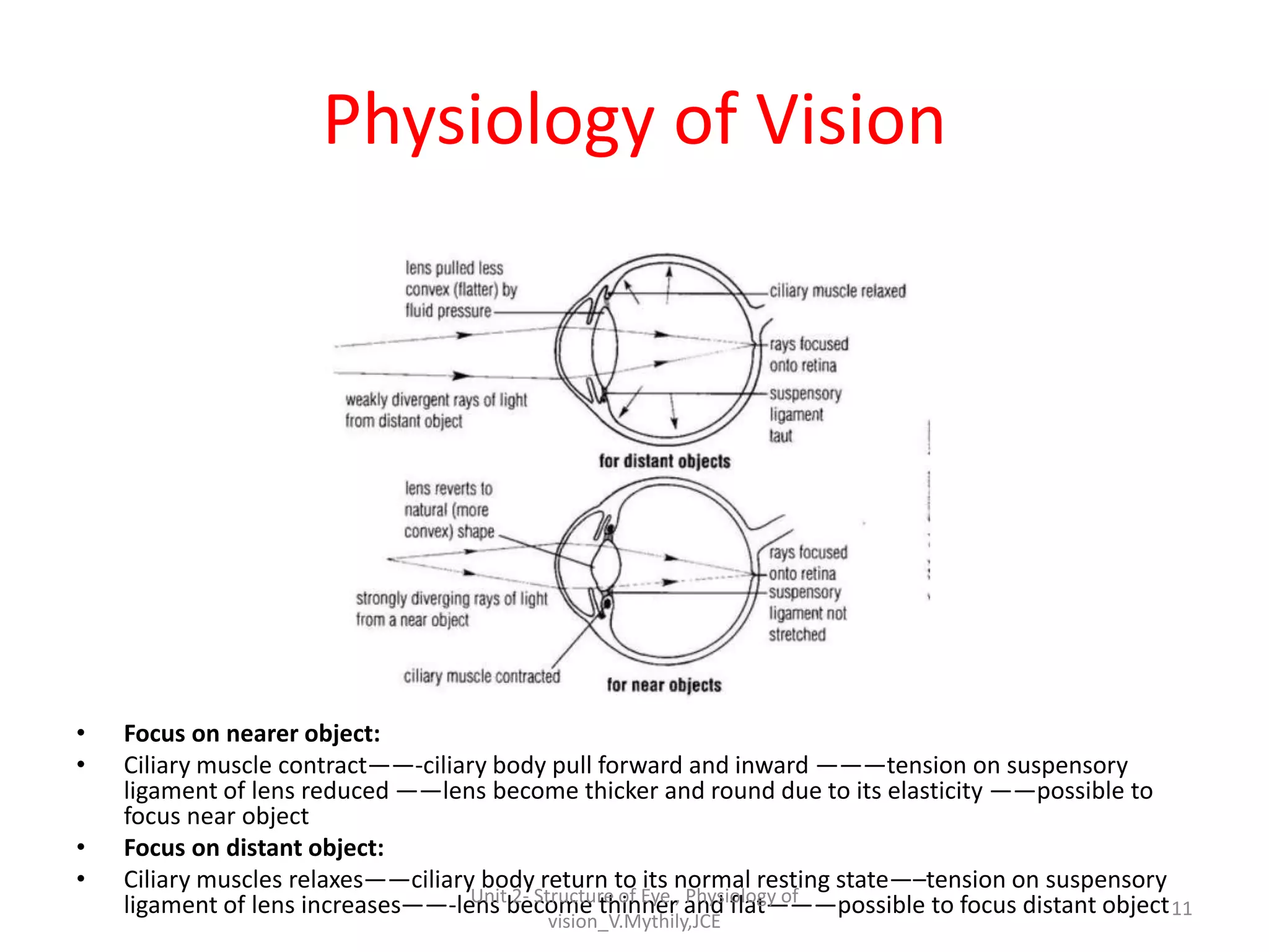 Physiology of Vision.ppt