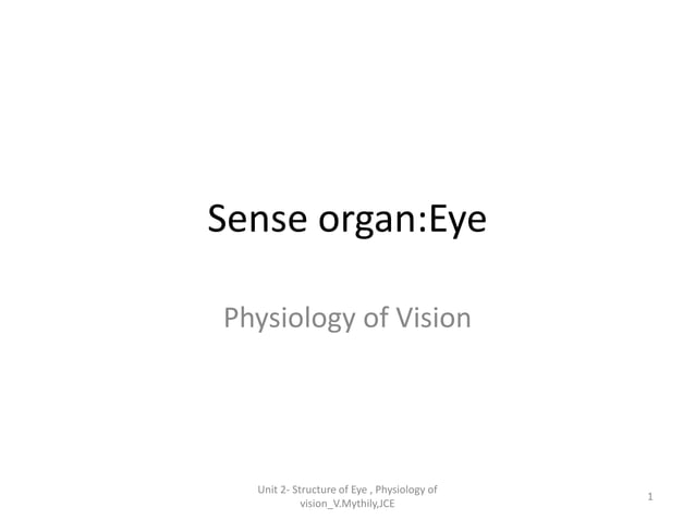 Physiology of Vision.ppt | Eye and Vision Conditions | Diseases and Conditions