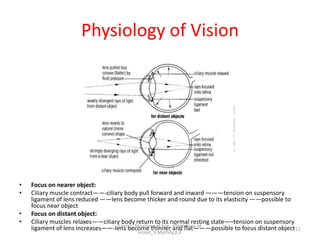 Physiology of Vision.ppt