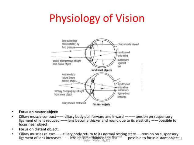 Physiology of Vision.ppt | Eye and Vision Conditions | Diseases and Conditions