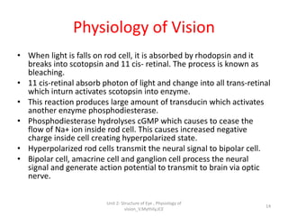 Physiology of Vision.ppt