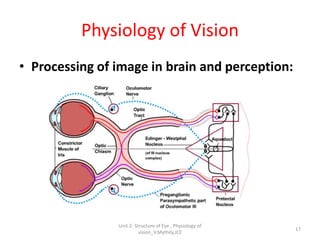 Physiology of Vision.ppt