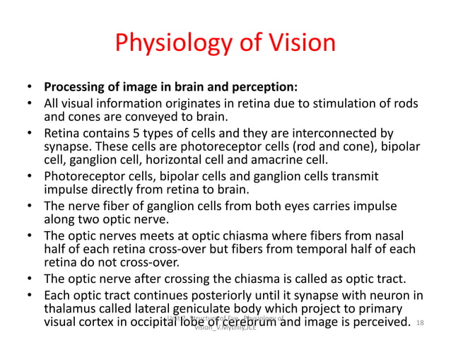 Physiology of Vision.ppt | Eye and Vision Conditions | Diseases and ...