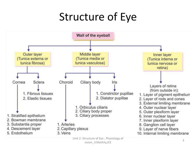 Physiology of Vision.ppt | Eye and Vision Conditions | Diseases and ...