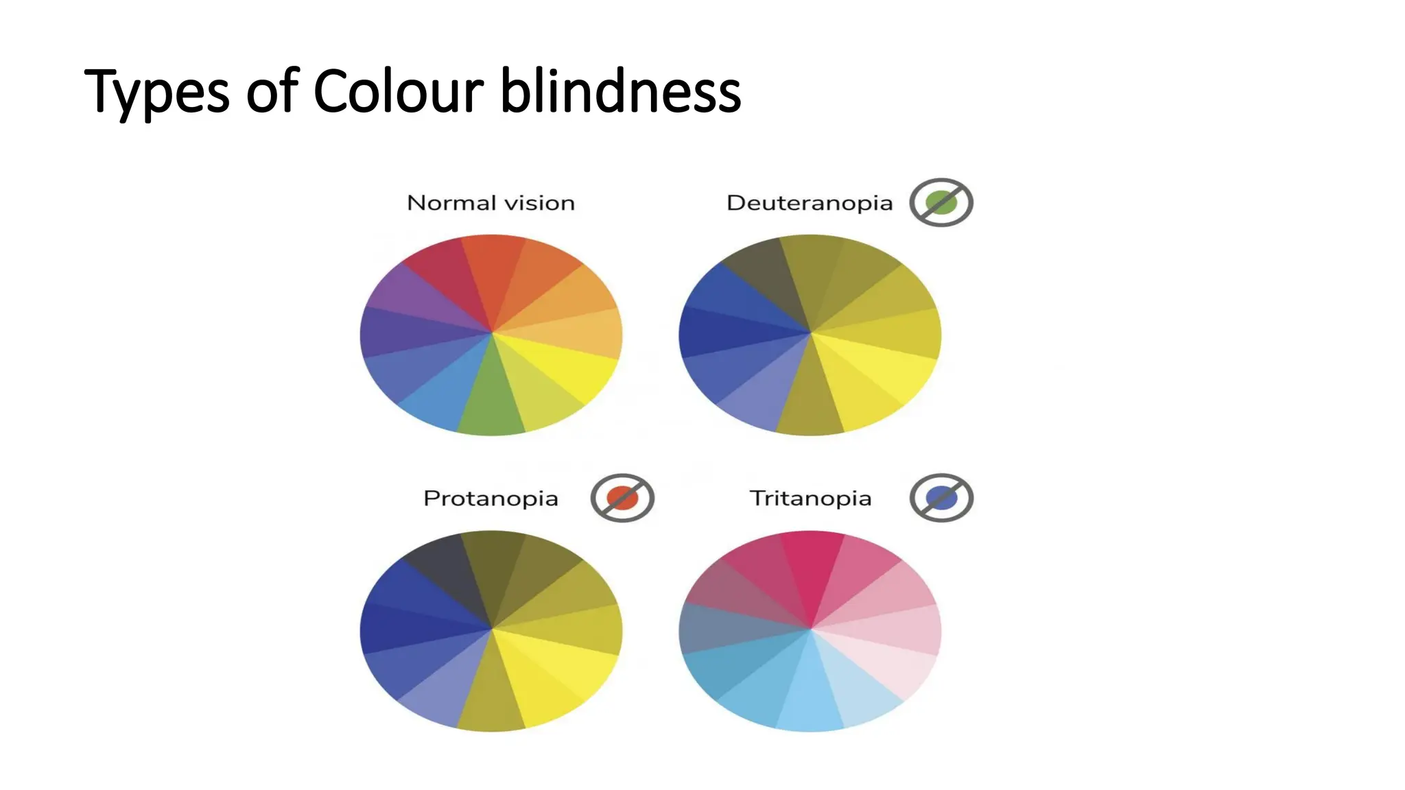 Physiology of Vision and vision pathway.pptx