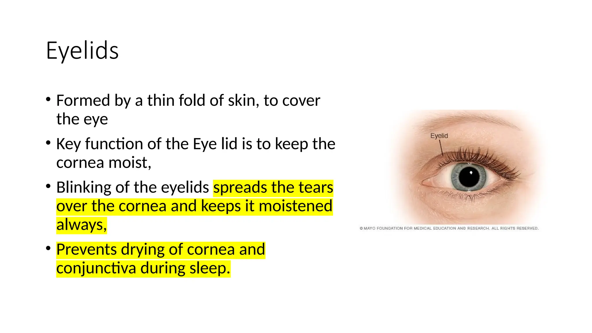 Physiology of Vision and vision pathway.pptx