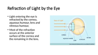 Physiology of Vision and vision pathway.pptx