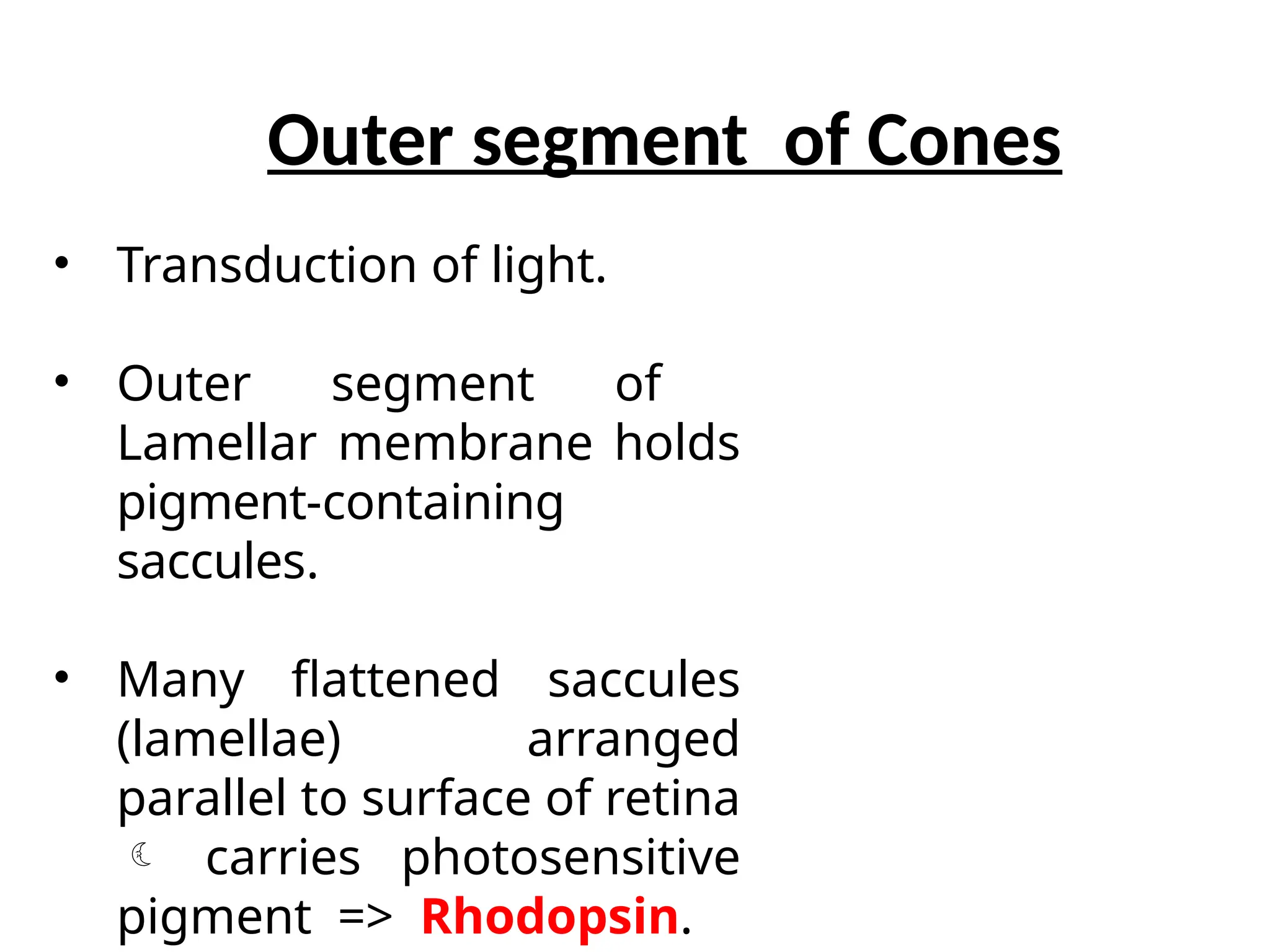 physiology of vision including photoreceptors , day anad night vision ...