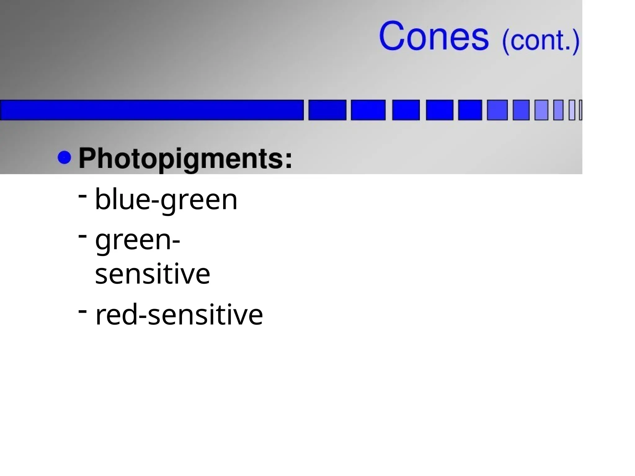 physiology of vision including photoreceptors , day anad night vision ...