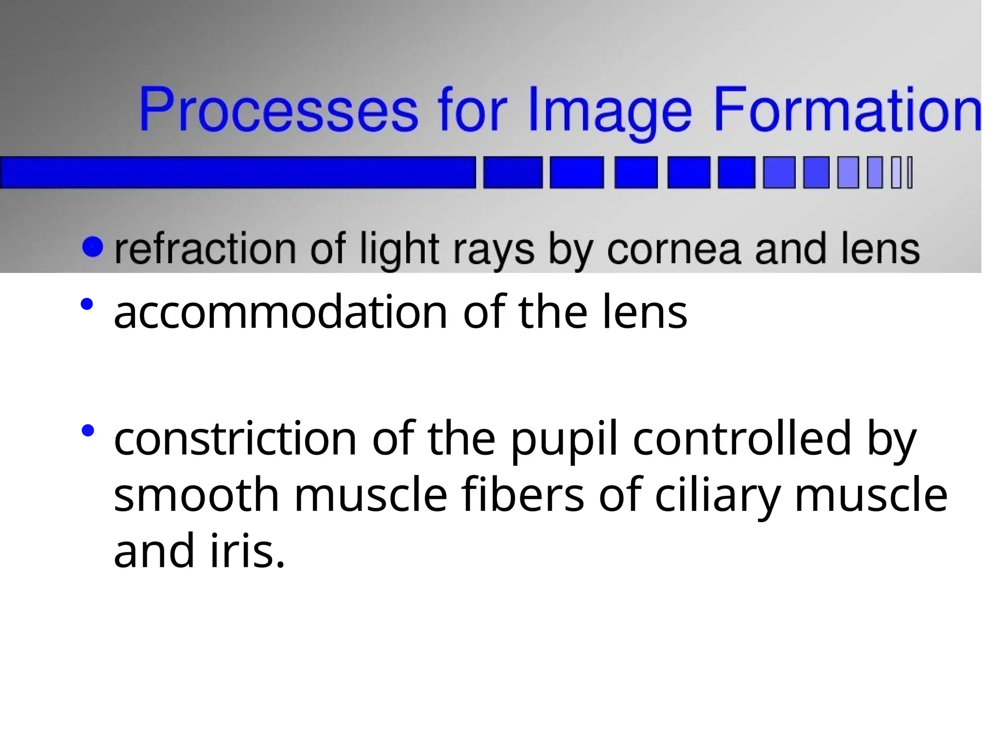 physiology of vision including photoreceptors , day anad night vision ...
