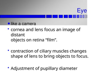 physiology of vision including photoreceptors , day anad night vision ...
