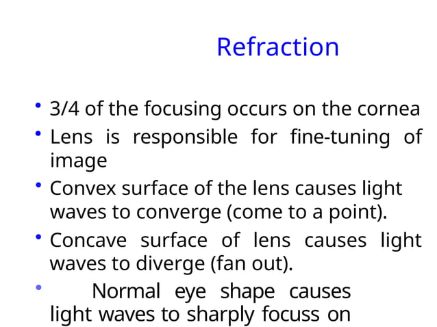 physiology of vision including photoreceptors , day anad night vision ...