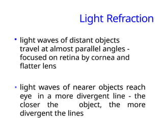 physiology of vision including photoreceptors , day anad night vision ...