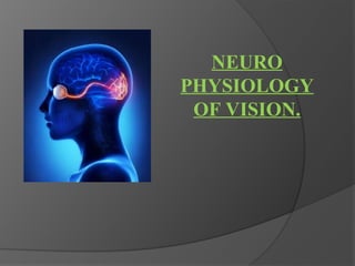 physiology of vision-II.POWER POINT PRESENTATION | PPT