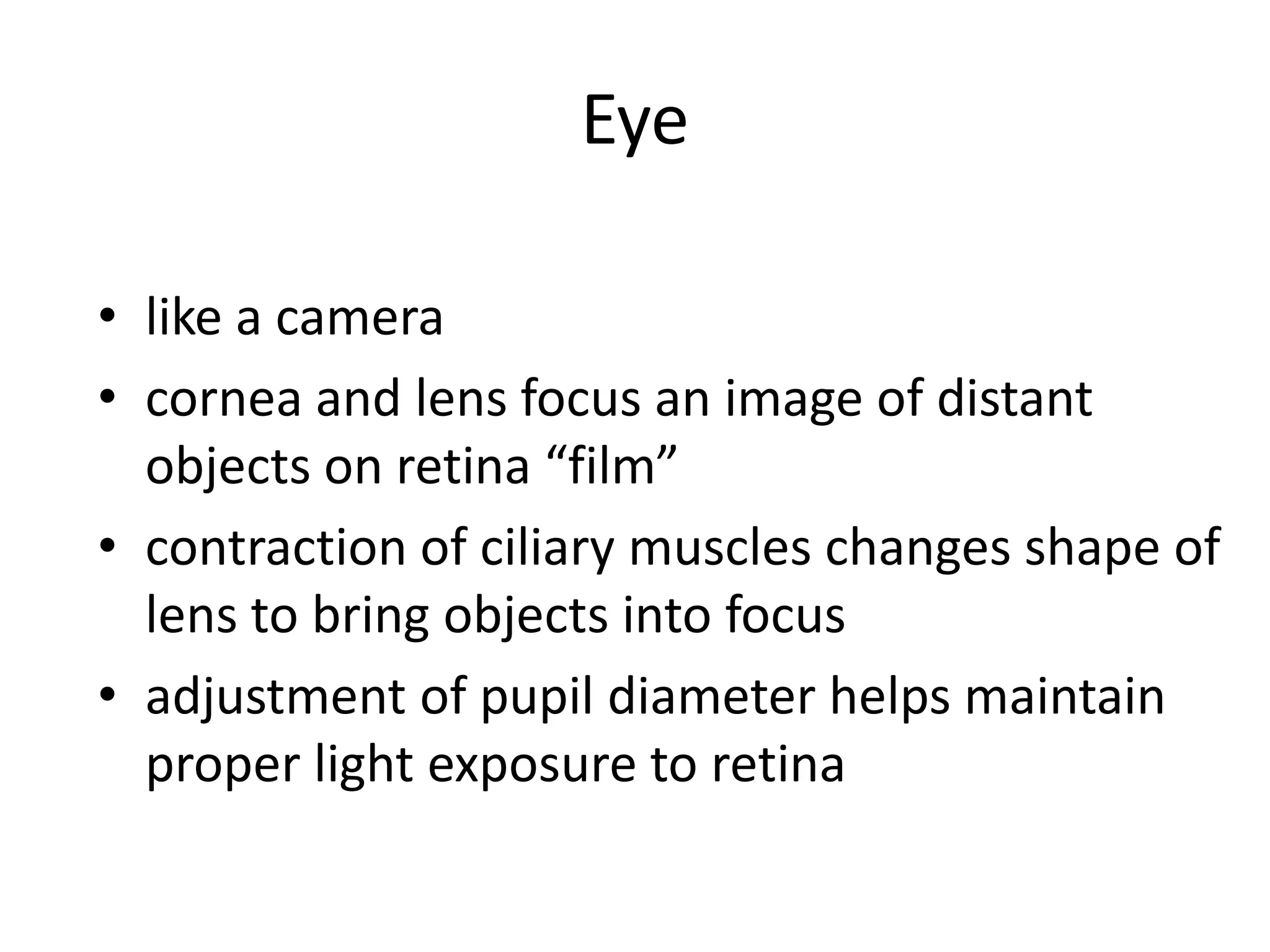 Physiology of Vision (1).ppt