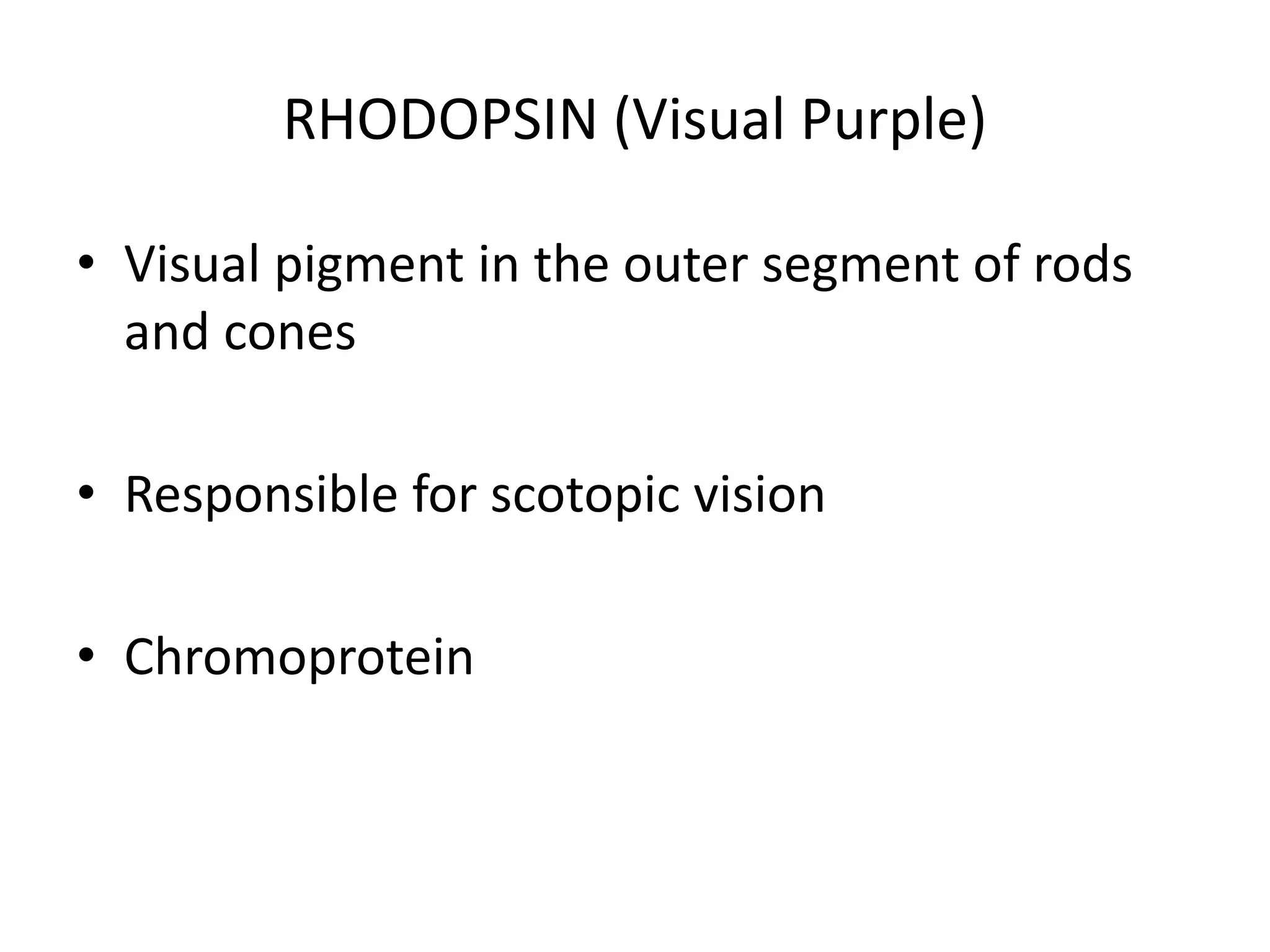 Physiology of Vision (1).ppt