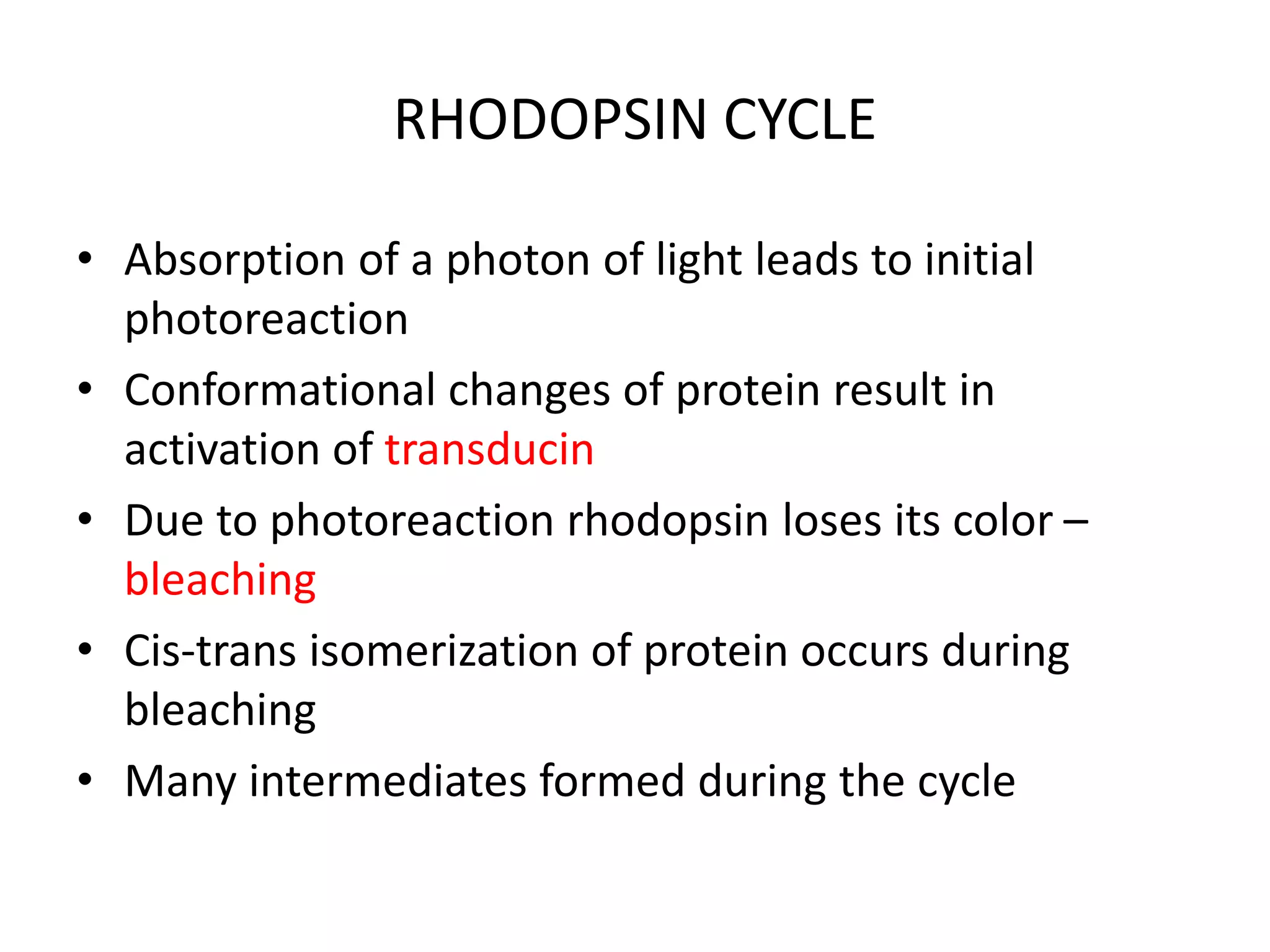 Physiology of Vision (1).ppt