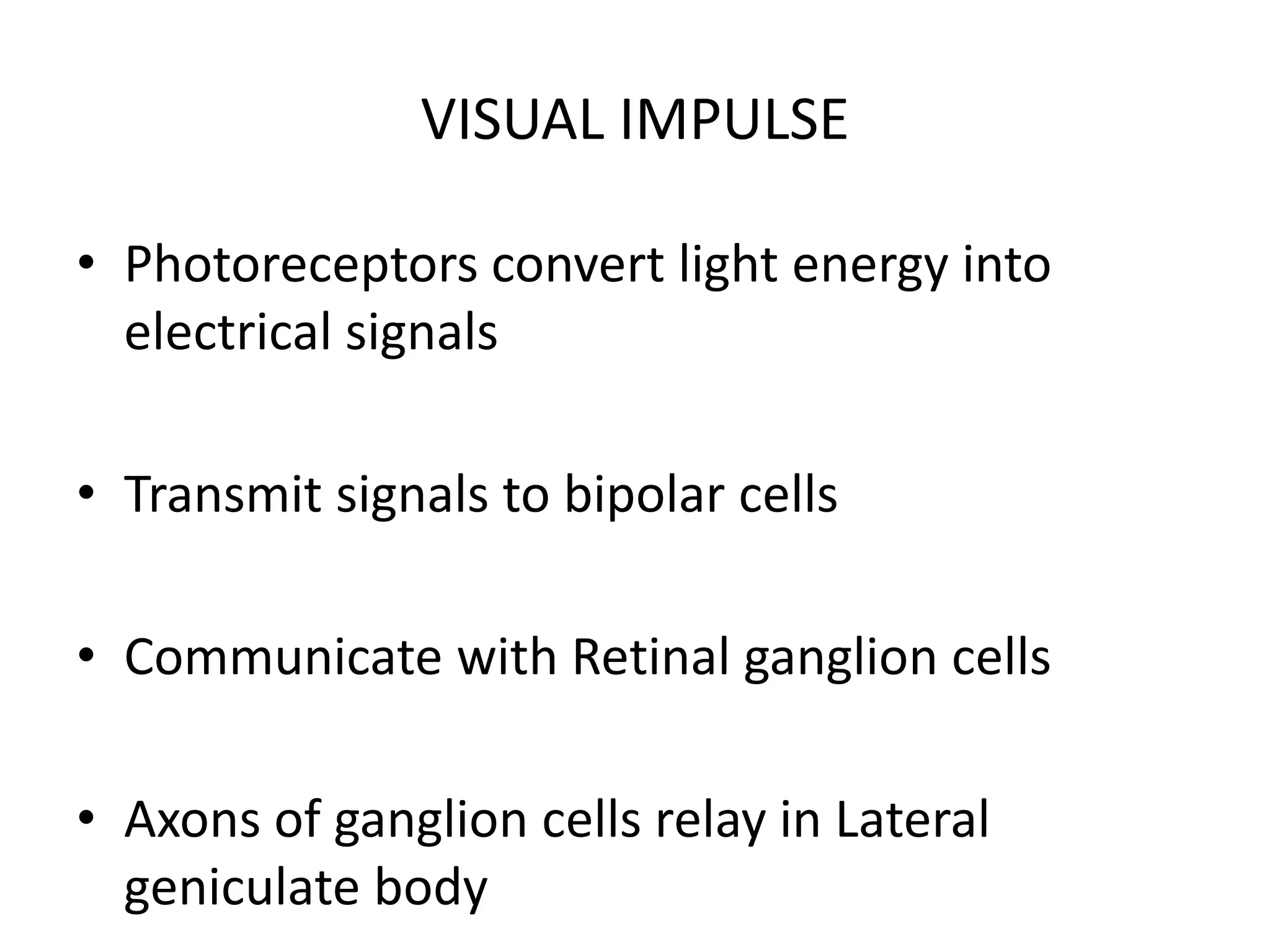 Physiology of Vision (1).ppt