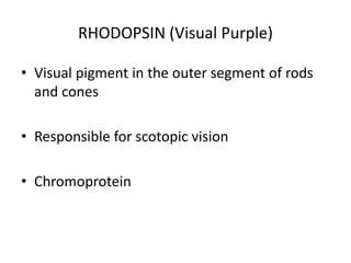 Physiology of Vision (1).ppt