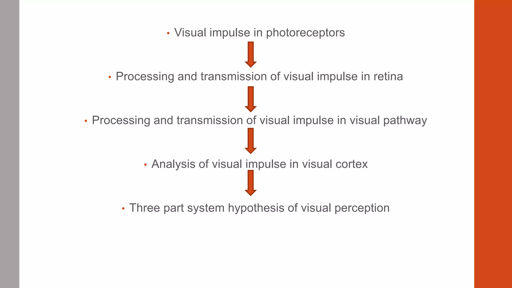 PHYSIOLOGY OF VISION | PPTX