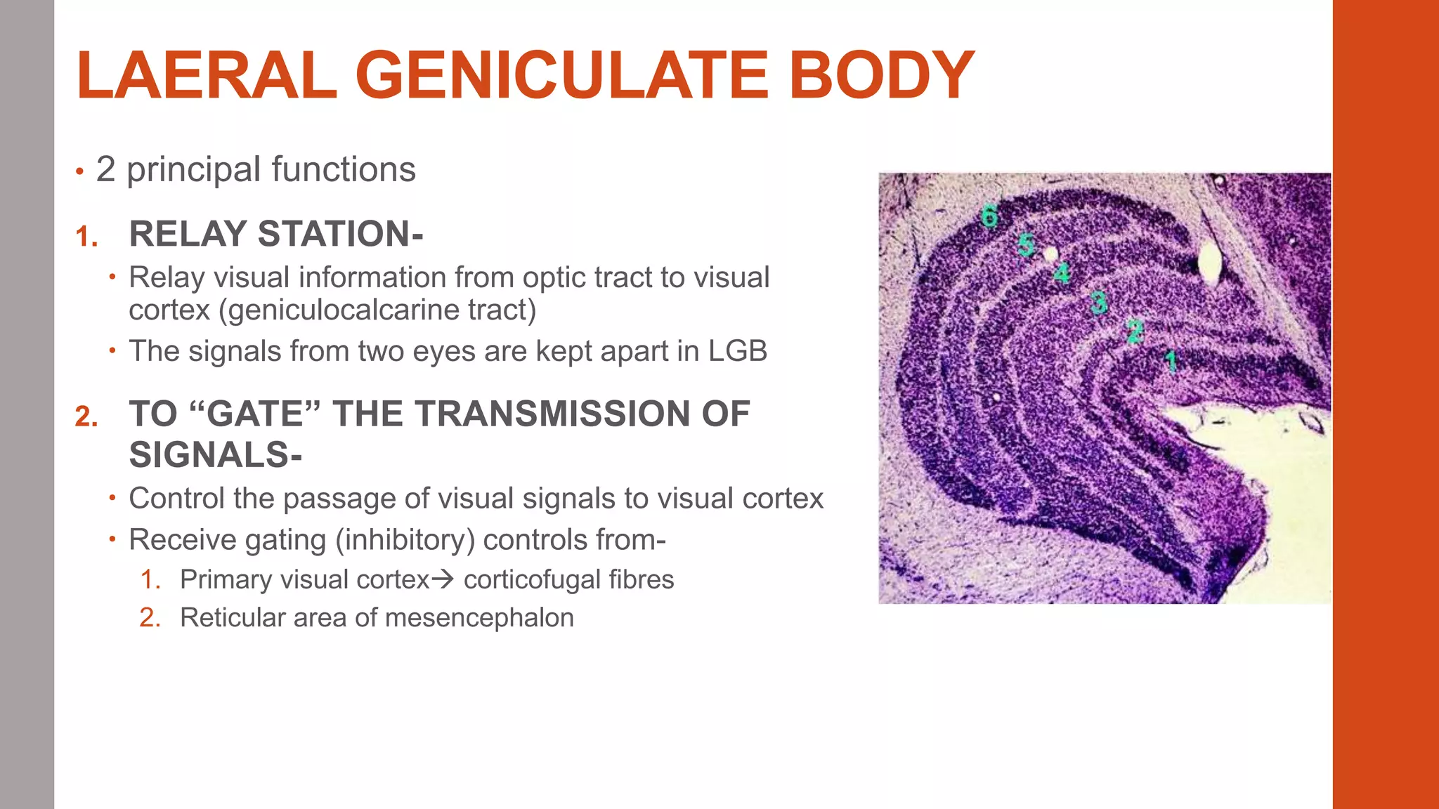 PHYSIOLOGY OF VISION | PPTX