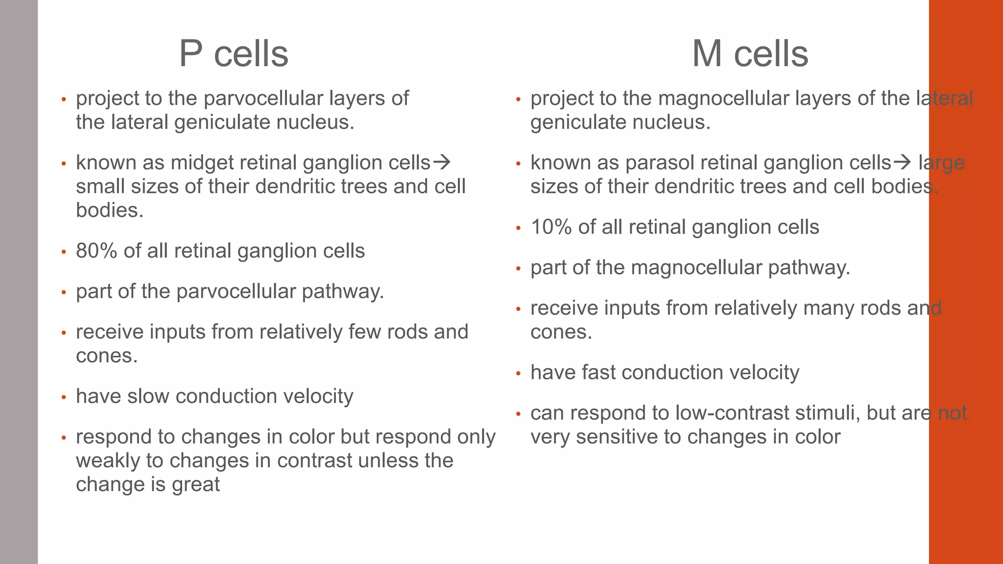 PHYSIOLOGY OF VISION | PPTX