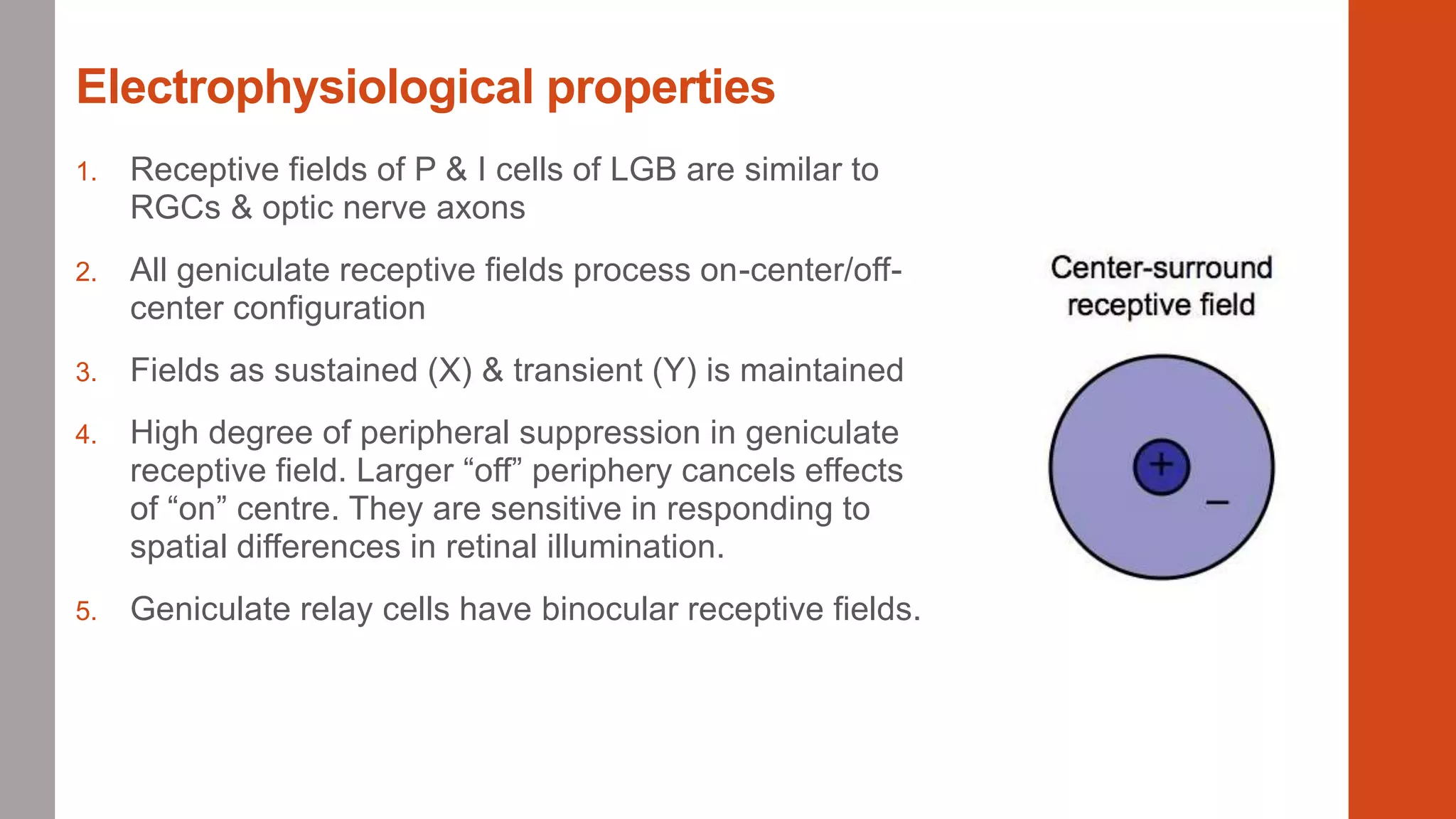 PHYSIOLOGY OF VISION | PPTX