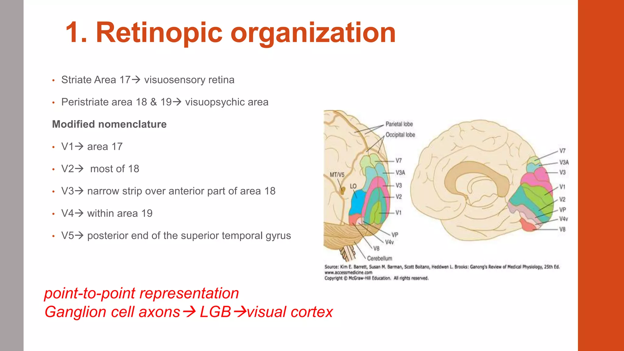 PHYSIOLOGY OF VISION | PPTX